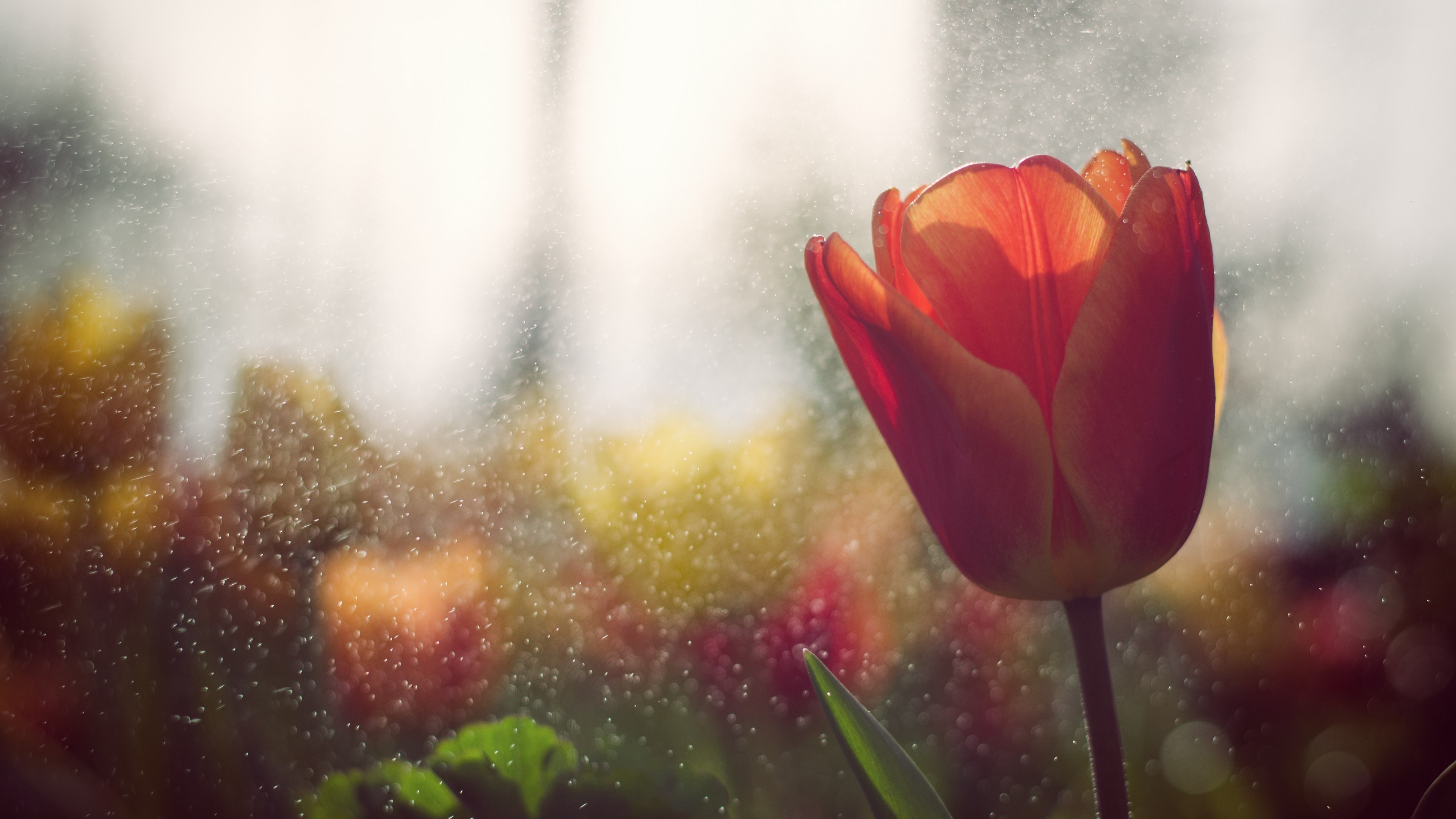 4k background wallpaper hd (3840x2160) - Coolwallpapers.me! 4k background wallpaper hd (3840x2160) - Coolwallpapers.me!